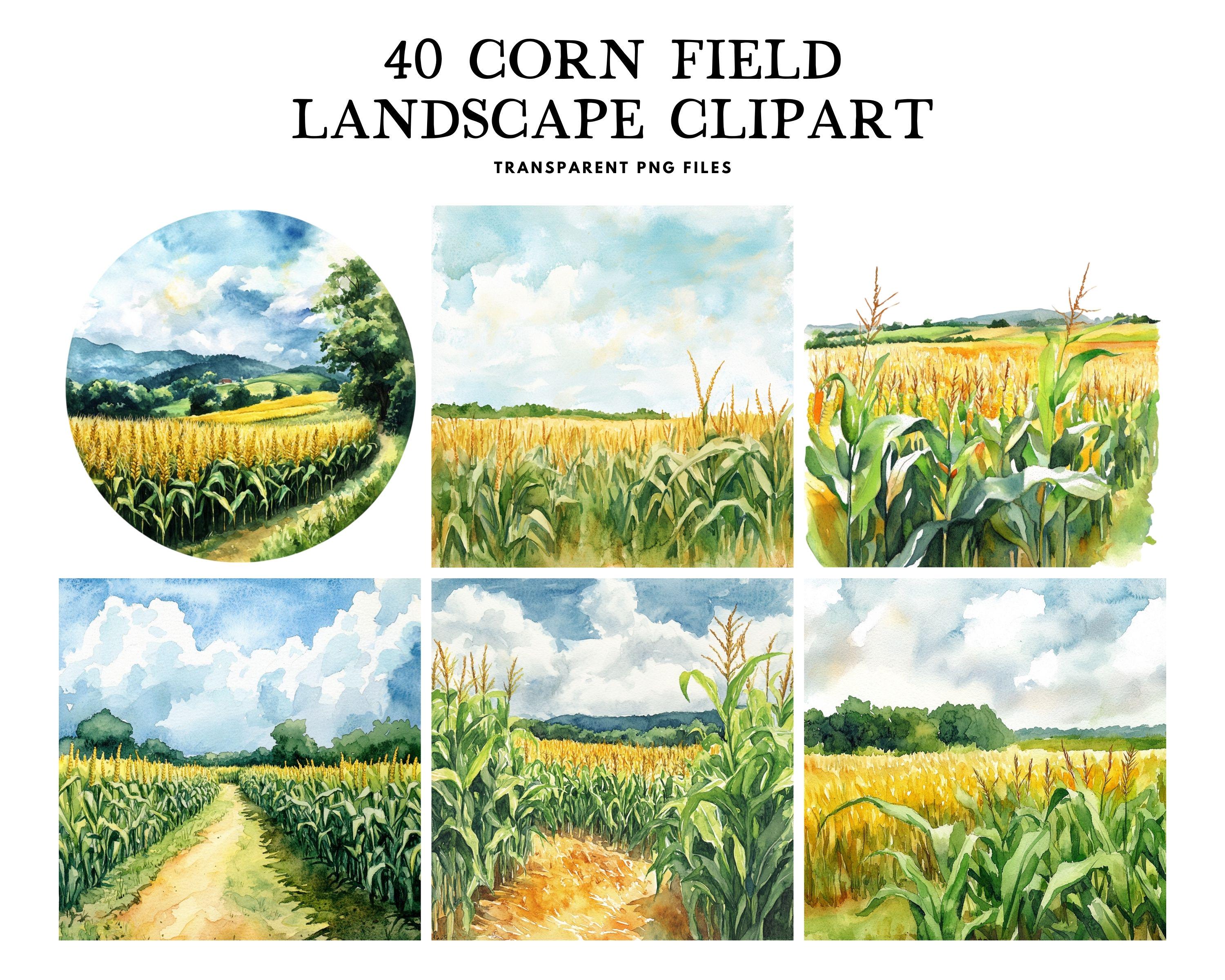 Watercolor Corn Field Landscape Clipart Bundle, Png Clip Art ...
