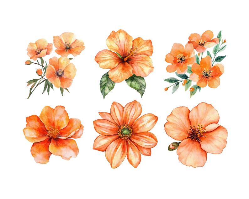 Watercolor Orange Flower Clipart Bundle, Orange Flower Png, Floral Clip ...