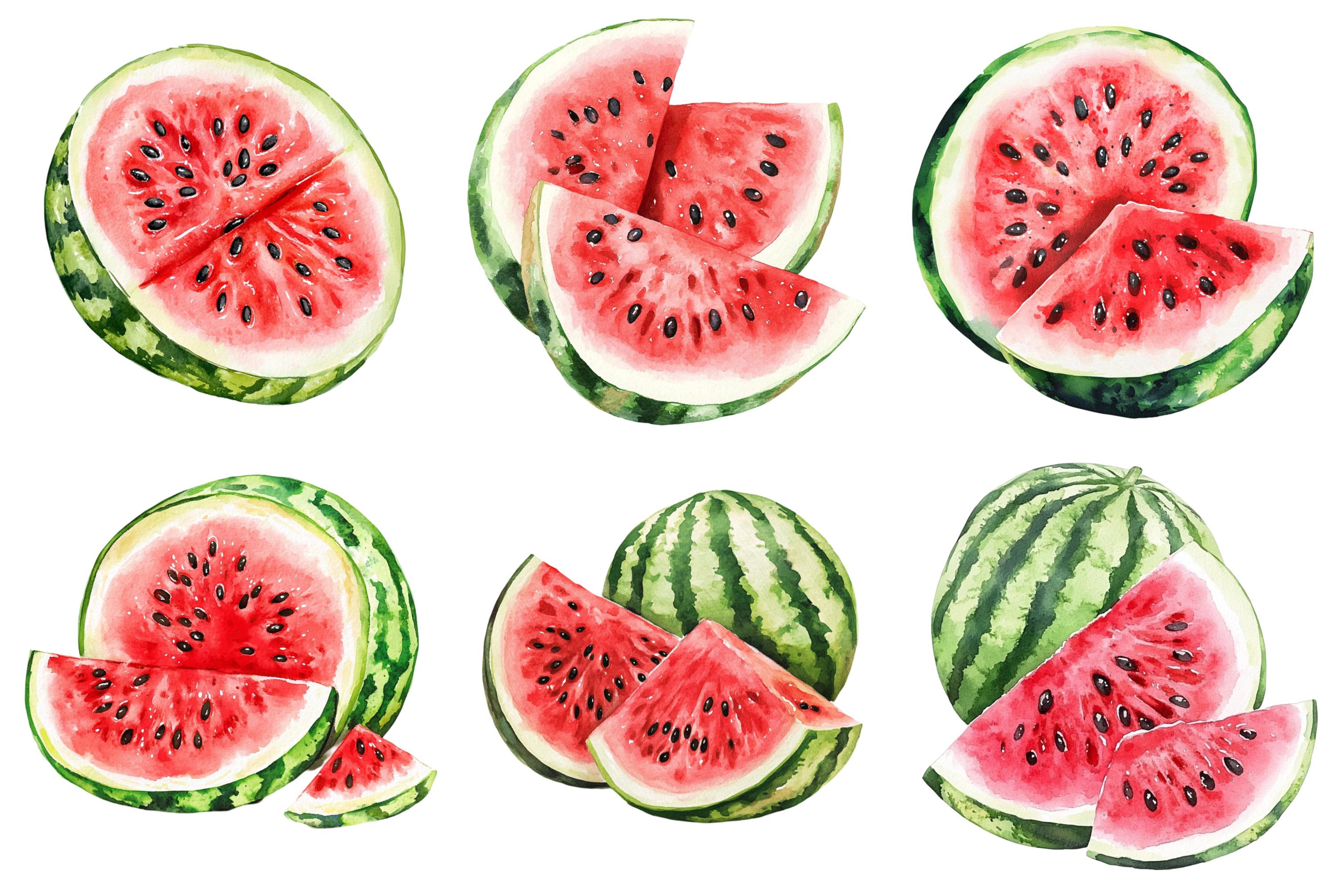 Watercolor Watermelon Clipart, Watermelon Png Bundle, Fruit Clip Art ...