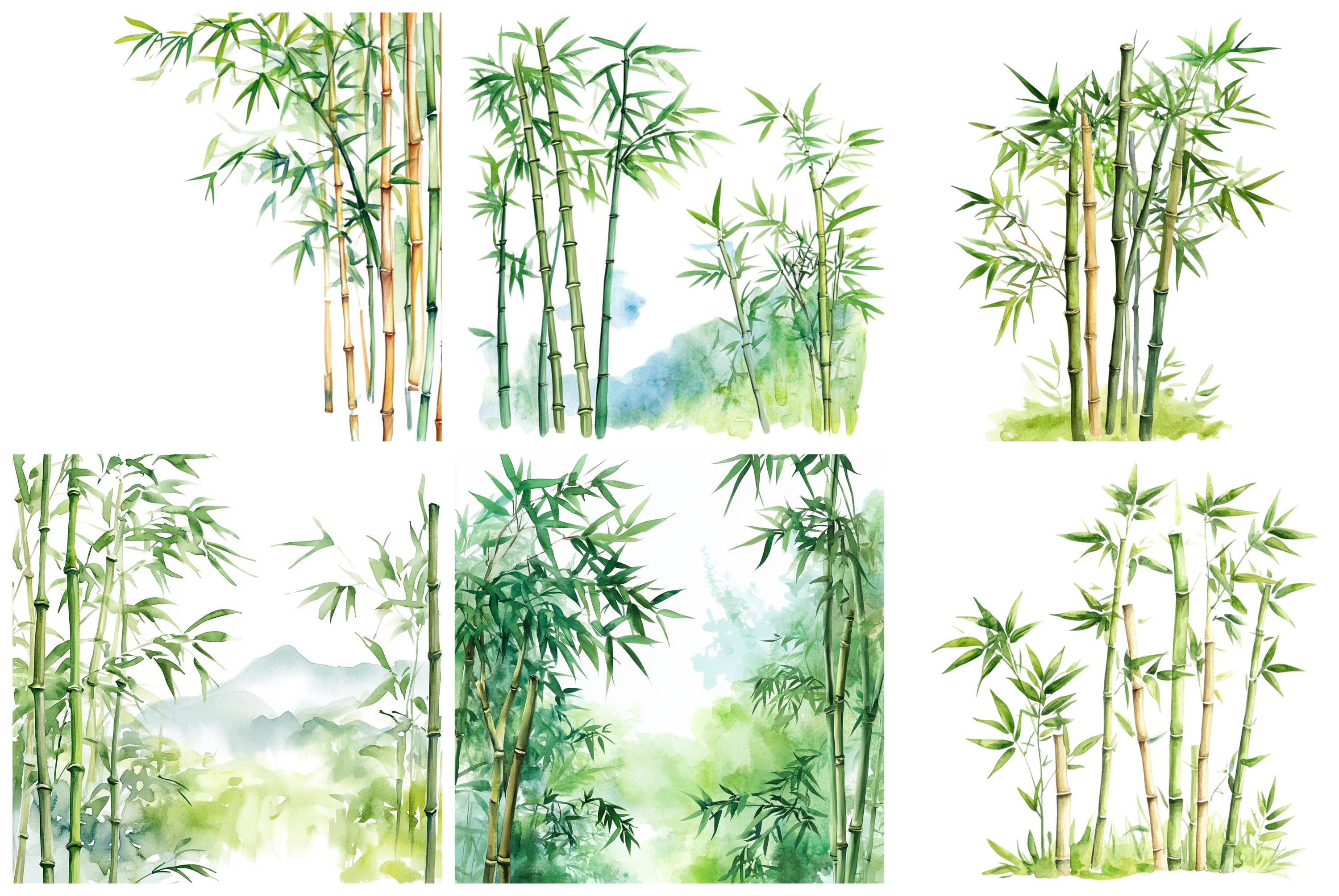 Watercolor Bamboo Clipart, Bamboo Png Bundle, Bamboo Forest Clip Art ...