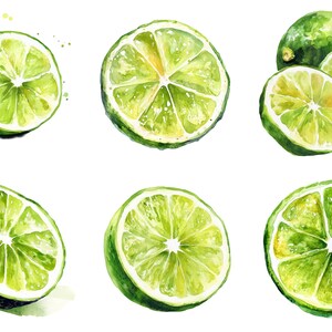 Watercolor Lime Clipart, Png Bundle, Fruit Clip Art, Illustration ...