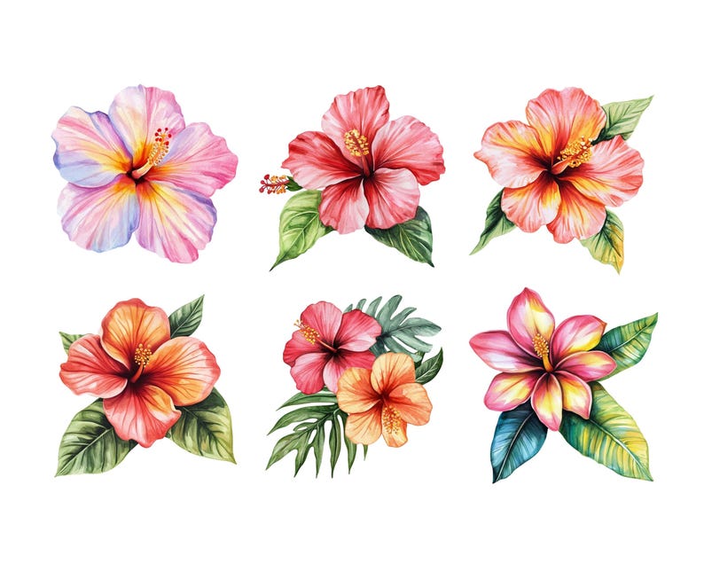 Watercolor Tropical Flower Clipart Bundle, Tropical Png, Floral Clip ...
