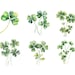 Watercolor Clover Clipart Bundle, Clover Png, Shamrock Clip Art, Four ...