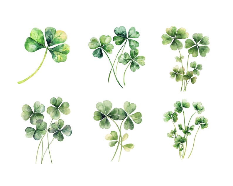 Watercolor Clover Clipart Bundle, Clover Png, Shamrock Clip Art, Four ...
