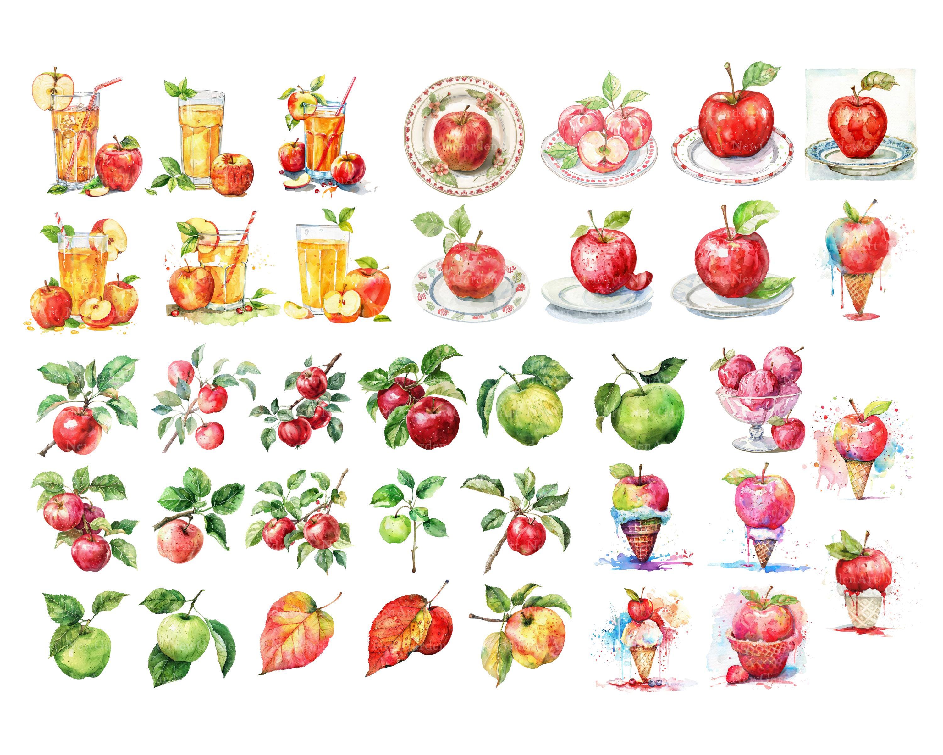 Watercolor Apple Clipart Bundle, Apple Png, Apple Pie Clip Art, Apple ...