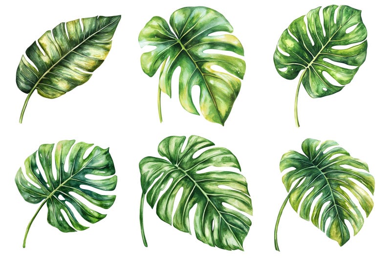 Watercolor Tropical Leave Clipart, Png Bundle, Clip Art Foliage ...