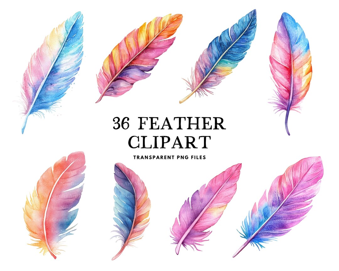 Watercolor Feather Clipart Bundle, Feather Png, Clip Art, Illustration ...