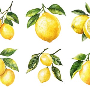 Watercolor Lemon Clipart Bundle, Lemon Png, Fruit Clip Art ...
