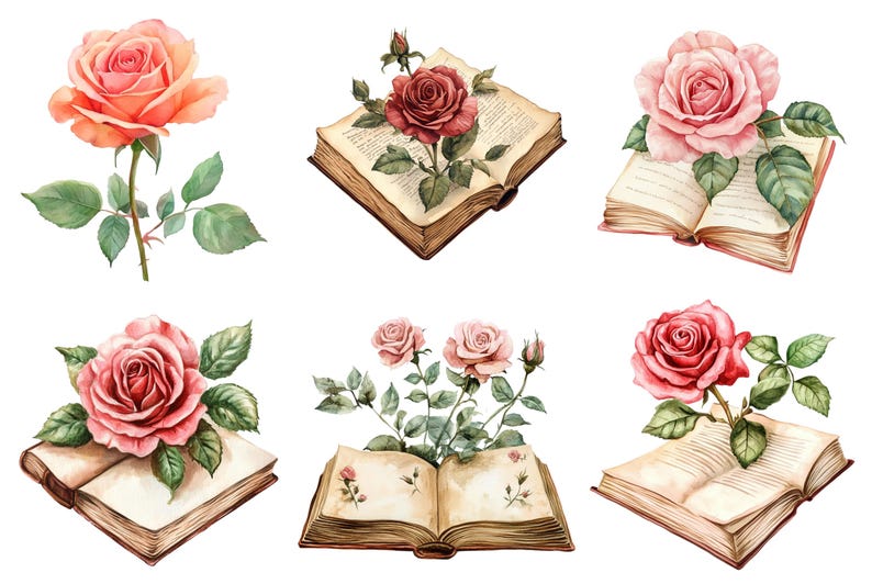 Watercolor Rose Book Clipart, Png Bundle, Clip Art, Illustration ...