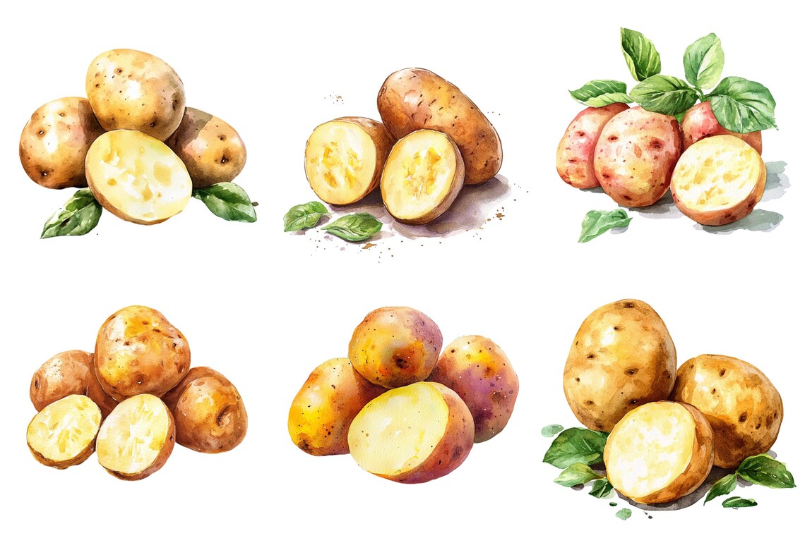 Watercolor Potatoes Clipart, Png Bundle, Vegetable Clip Art ...