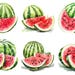 Watercolor Watermelon Clipart, Watermelon Png Bundle, Fruit Clip Art ...