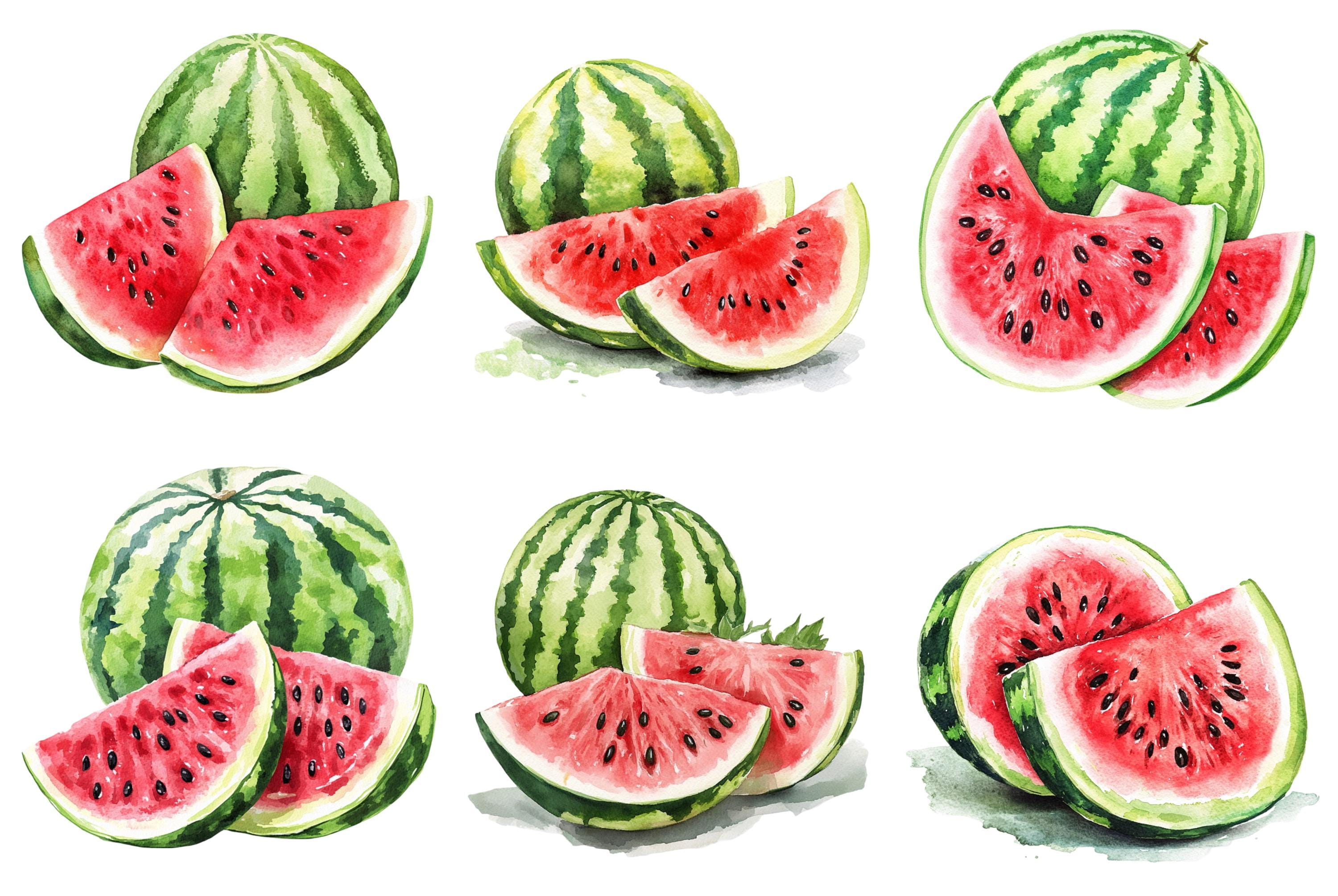 Watercolor Watermelon Clipart, Watermelon Png Bundle, Fruit Clip Art ...