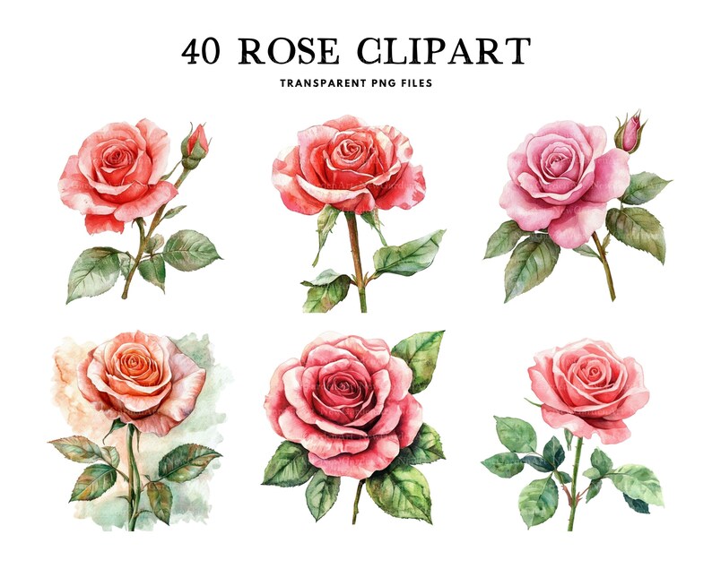 Watercolor Rose Clipart Bundle, Rose Png, Flower Clip Art, Floral ...