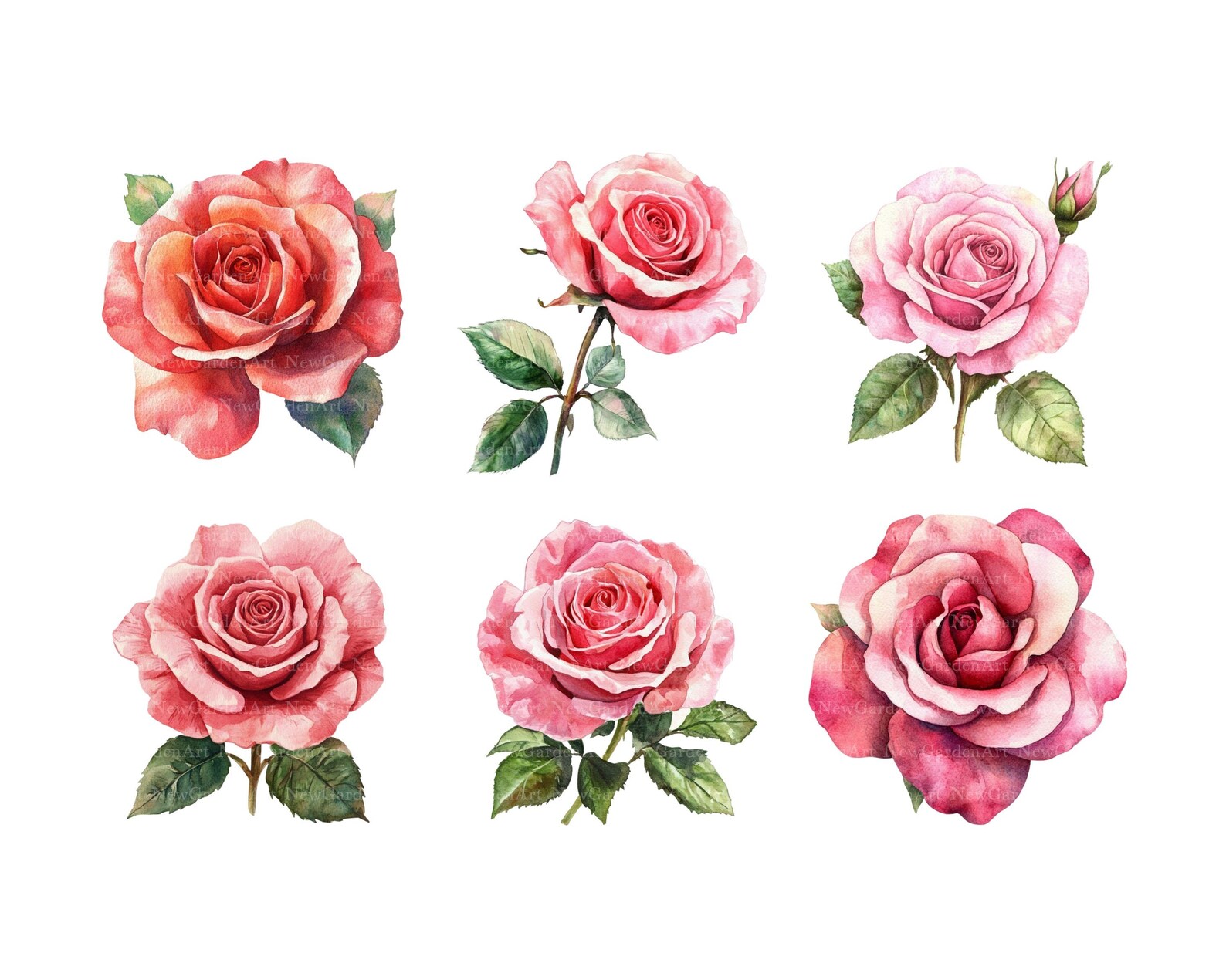 Watercolor Rose Clipart Bundle, Rose Png, Flower Clip Art, Floral ...