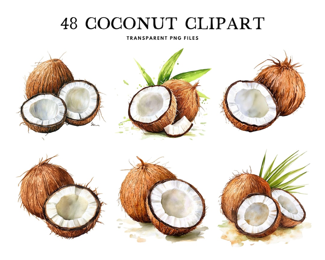 Watercolor Coconut Clipart Bundle, Coconut Png, Fruit Clip Art ...
