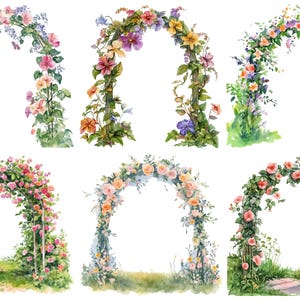 Watercolor Summer Arch Clipart, Png Bundle, Clip Art Illustration ...