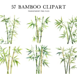 Watercolor Bamboo Clipart, Bamboo Png Bundle, Bamboo Forest Clip Art ...