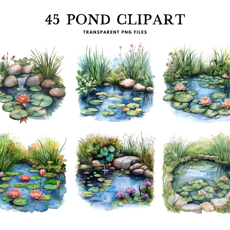 Pond Clipart - Etsy