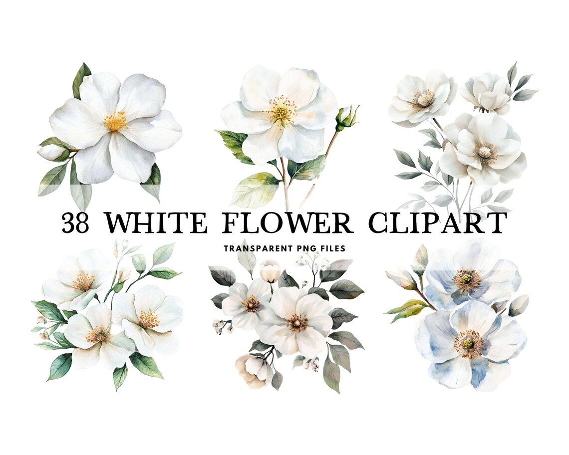 Watercolor White Flower Clipart Bundle, White Flower Png, Floral Clip ...
