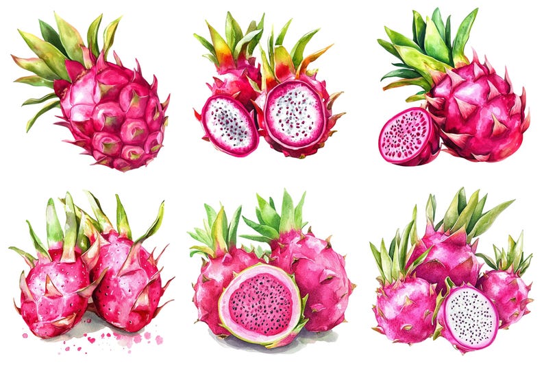 Watercolor Dragon Fruit Clipart Bundle, Dragon Fruit Png, Fruit Clip ...