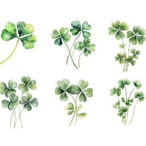 Watercolor Clover Clipart Bundle, Clover Png, Shamrock Clip Art, Four ...
