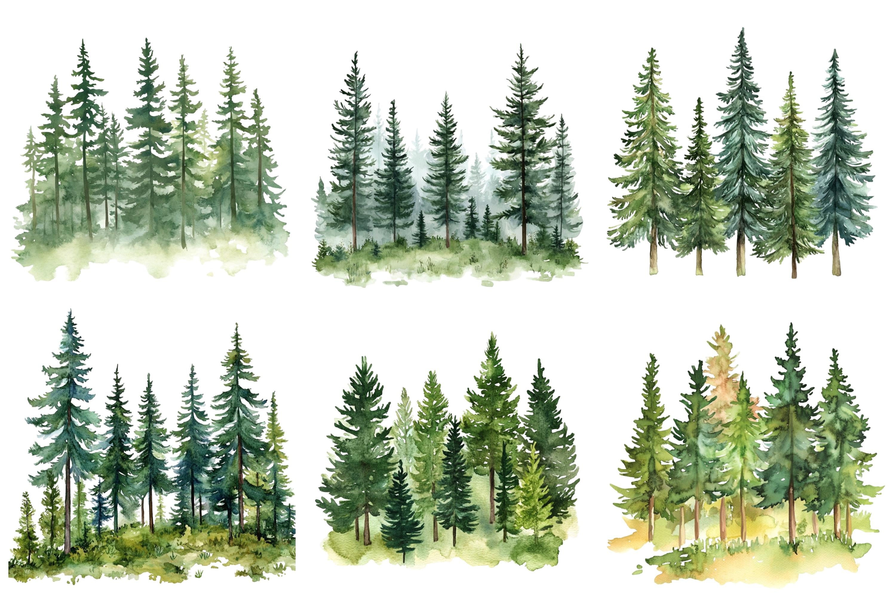 Watercolor Pine Forest Clipart, Png Bundle, Clip Art, Tree Illustration ...