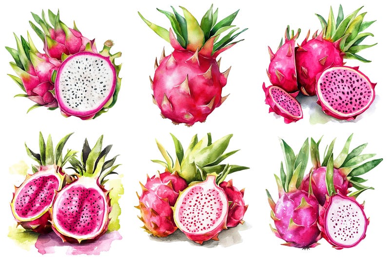 Watercolor Dragon Fruit Clipart Bundle, Dragon Fruit Png, Fruit Clip ...
