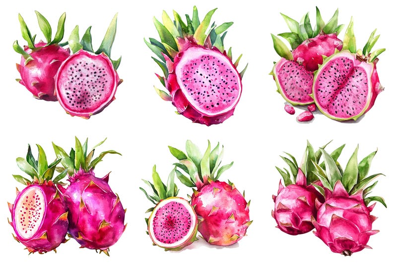 Watercolor Dragon Fruit Clipart Bundle, Dragon Fruit Png, Fruit Clip ...