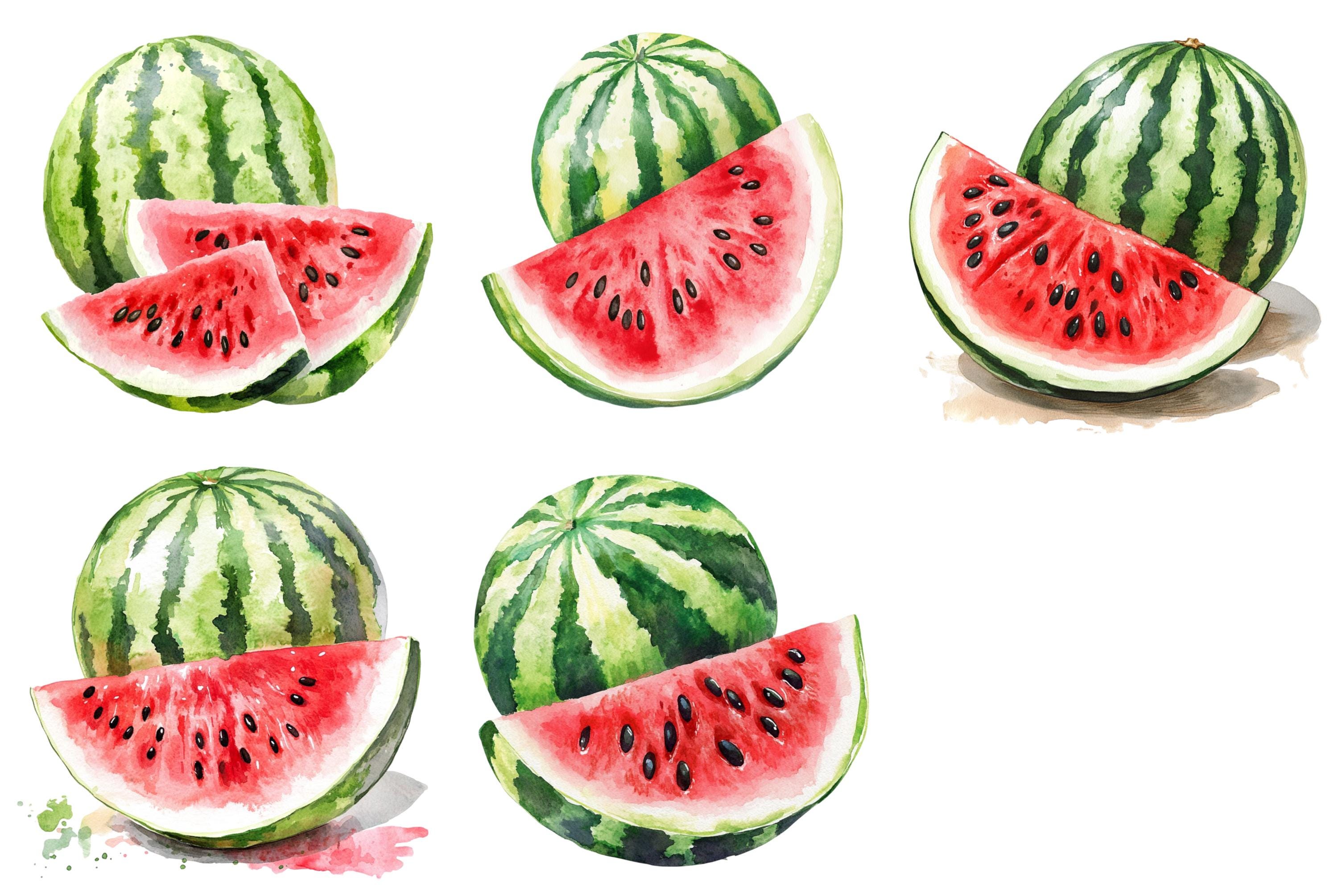 Watercolor Watermelon Clipart, Watermelon Png Bundle, Fruit Clip Art ...