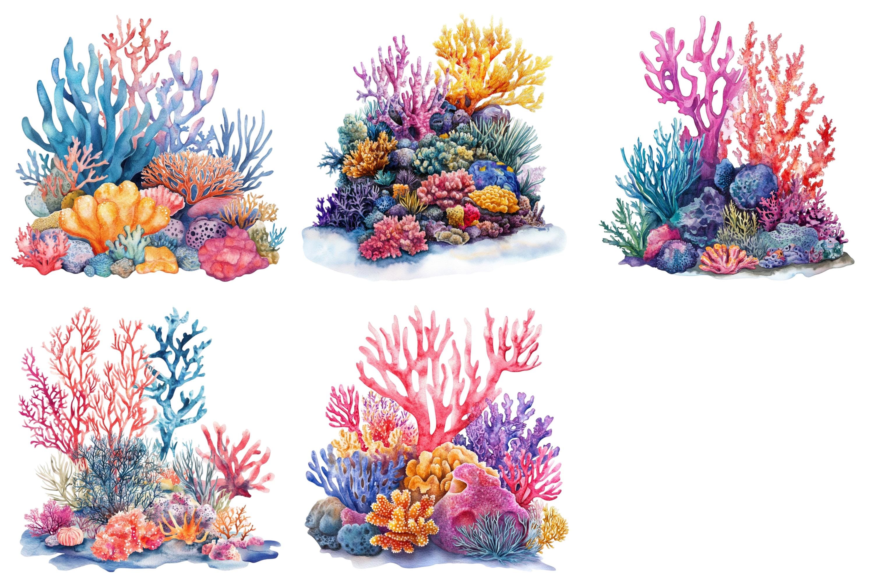 Watercolor Coral Reef Clipart Bundle, Coral Reef Png, Ocean Clip Art ...