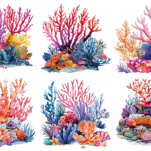 Watercolor Coral Reef Clipart Bundle, Coral Reef Png, Ocean Clip Art ...