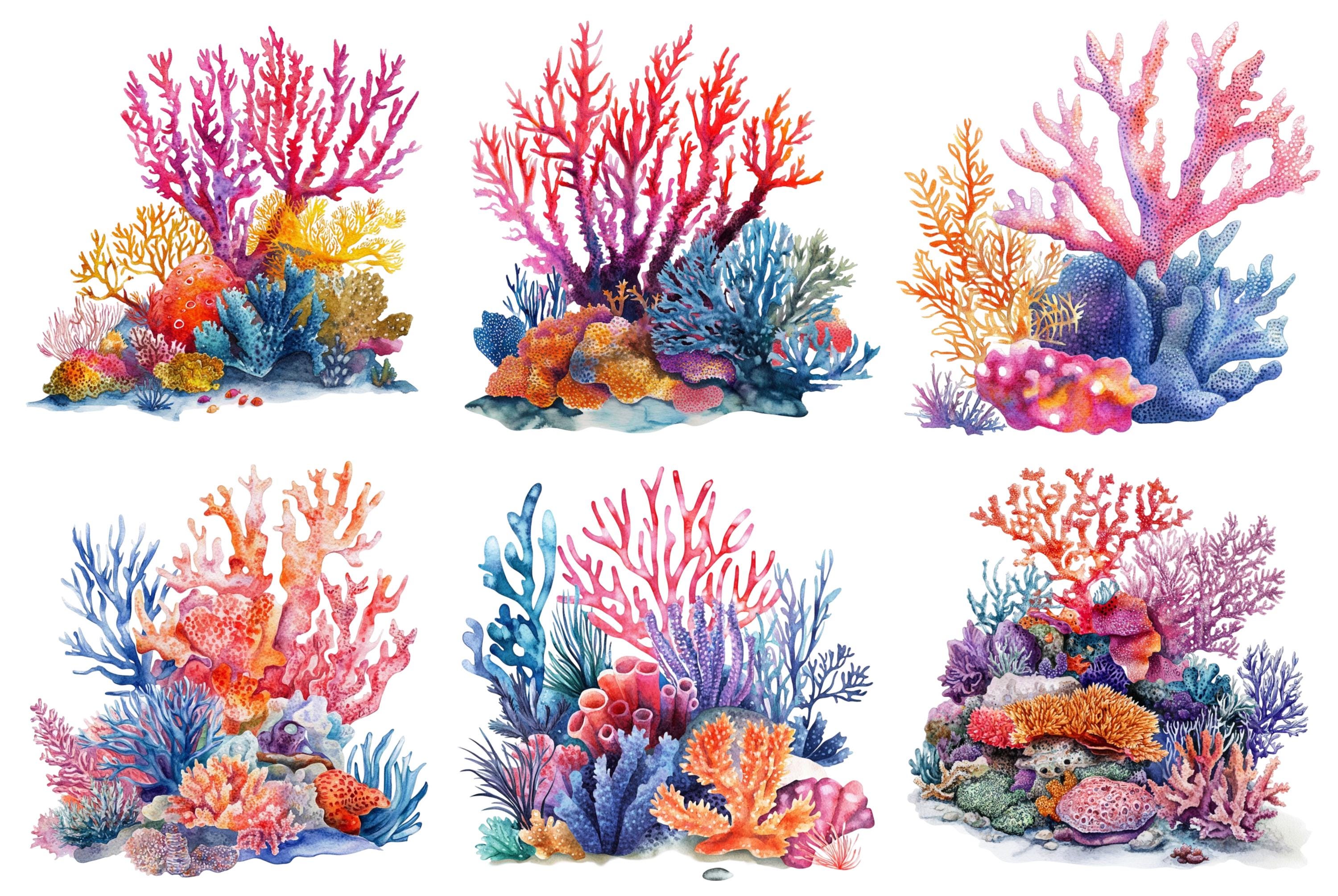 Watercolor Coral Reef Clipart Bundle, Coral Reef Png, Ocean Clip Art ...