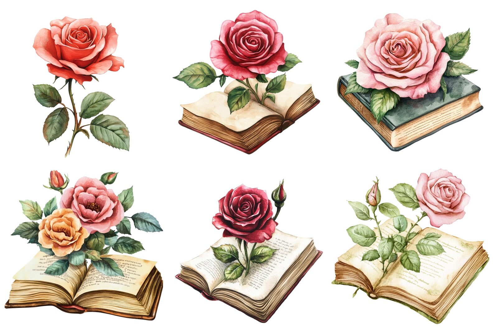 Watercolor Rose Book Clipart, Png Bundle, Clip Art, Illustration ...