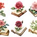 Watercolor Rose Book Clipart, Png Bundle, Clip Art, Illustration ...
