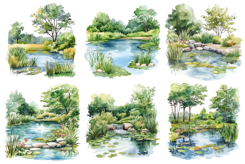 Watercolor Pond Clipart, Png Bundle, Garden Clip Art, Illustration ...