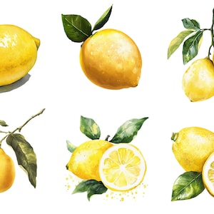 Watercolor Lemon Clipart Bundle, Lemon Png, Fruit Clip Art ...