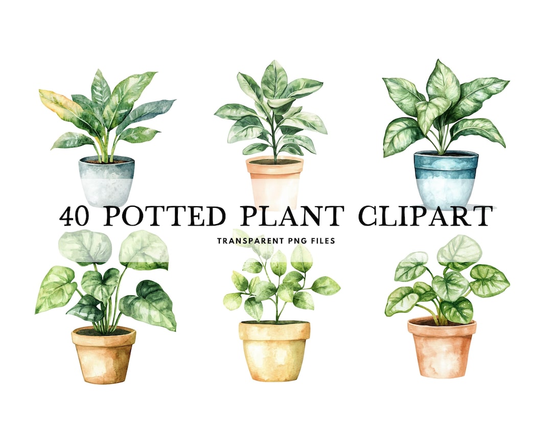 Watercolor Potted Plant Clipart Bundle, Potted Plant Png, Houseplant ...