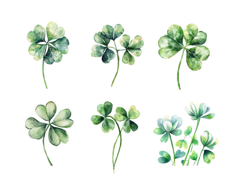 Watercolor Clover Clipart Bundle, Clover Png, Shamrock Clip Art, Four ...