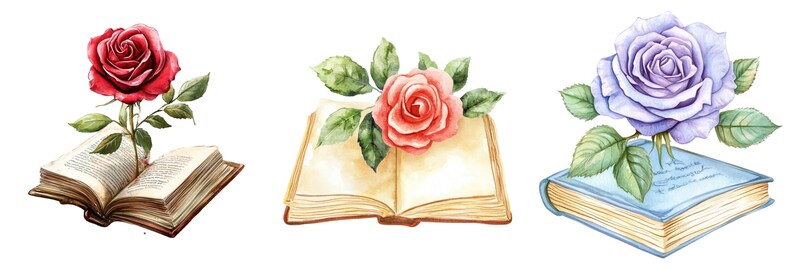 Watercolor Rose Book Clipart, Png Bundle, Clip Art, Illustration ...