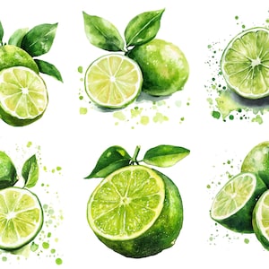 Watercolor Lime Clipart, Png Bundle, Fruit Clip Art, Illustration ...
