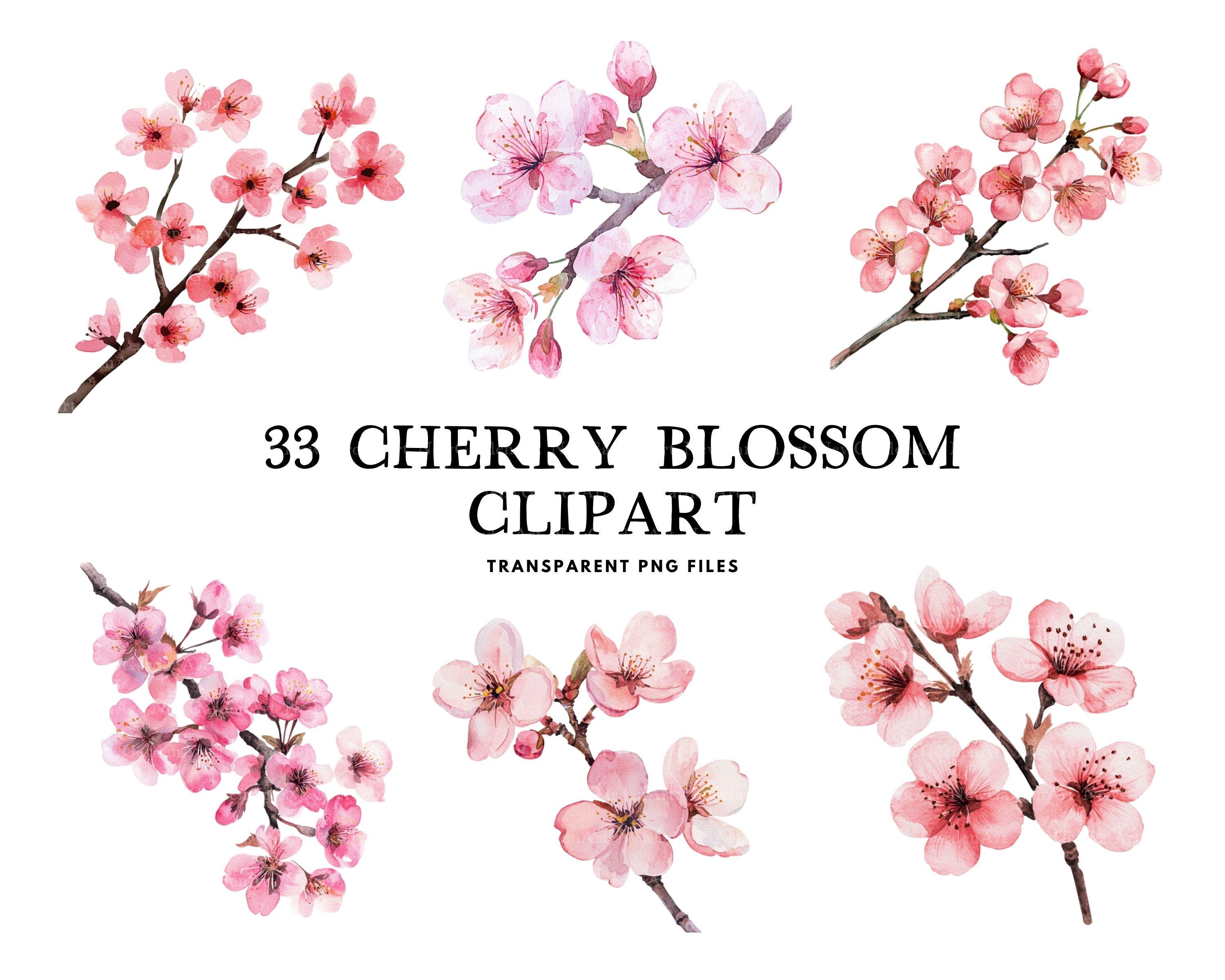 Watercolor Cherry Blossom Clipart Bundle, Cherry Blossom Png, Flower ...
