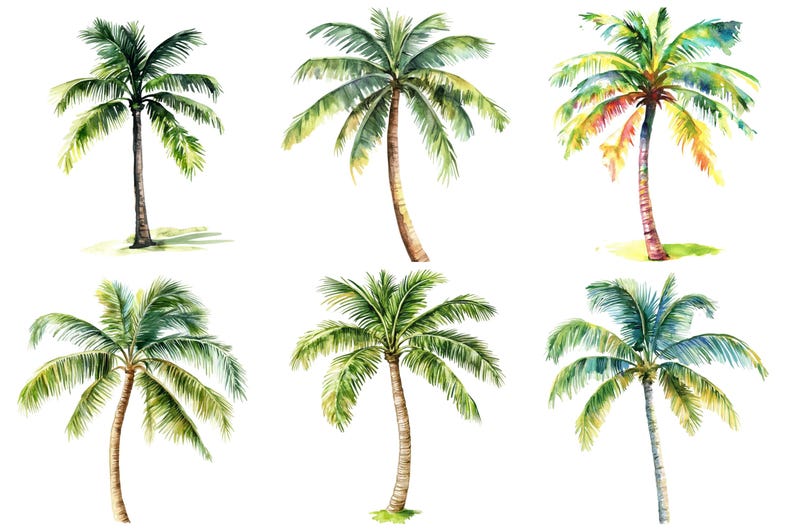 Watercolor Palm Tree Clipart, Png Bundle, Clip Art, Illustration ...