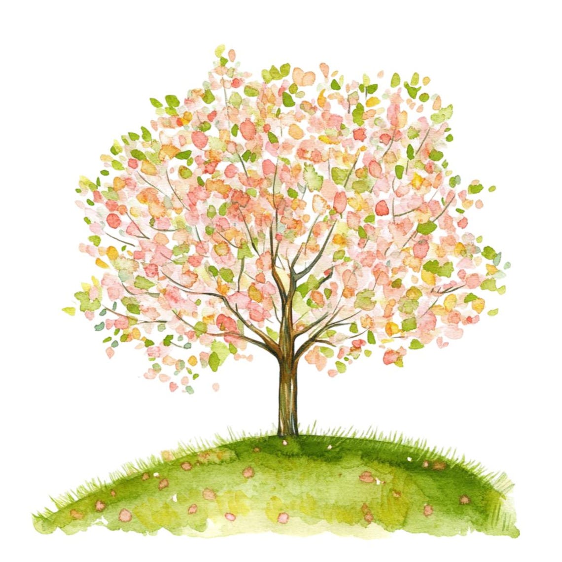 Watercolor Spring Tree Clipart, Png Bundle, Clip Art, Illustration ...
