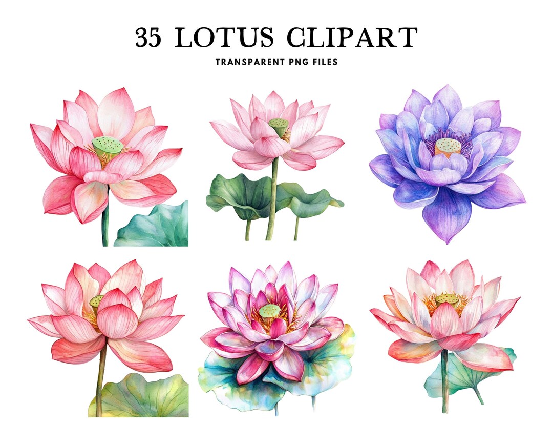 Watercolor Lotus Clipart, Png Bundle, Flower Clip Art, Illustration ...