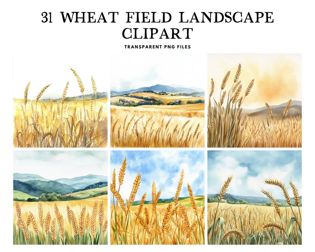 Watercolor Wheat Field Landscape Clipart, Png Bundle, Clip Art ...