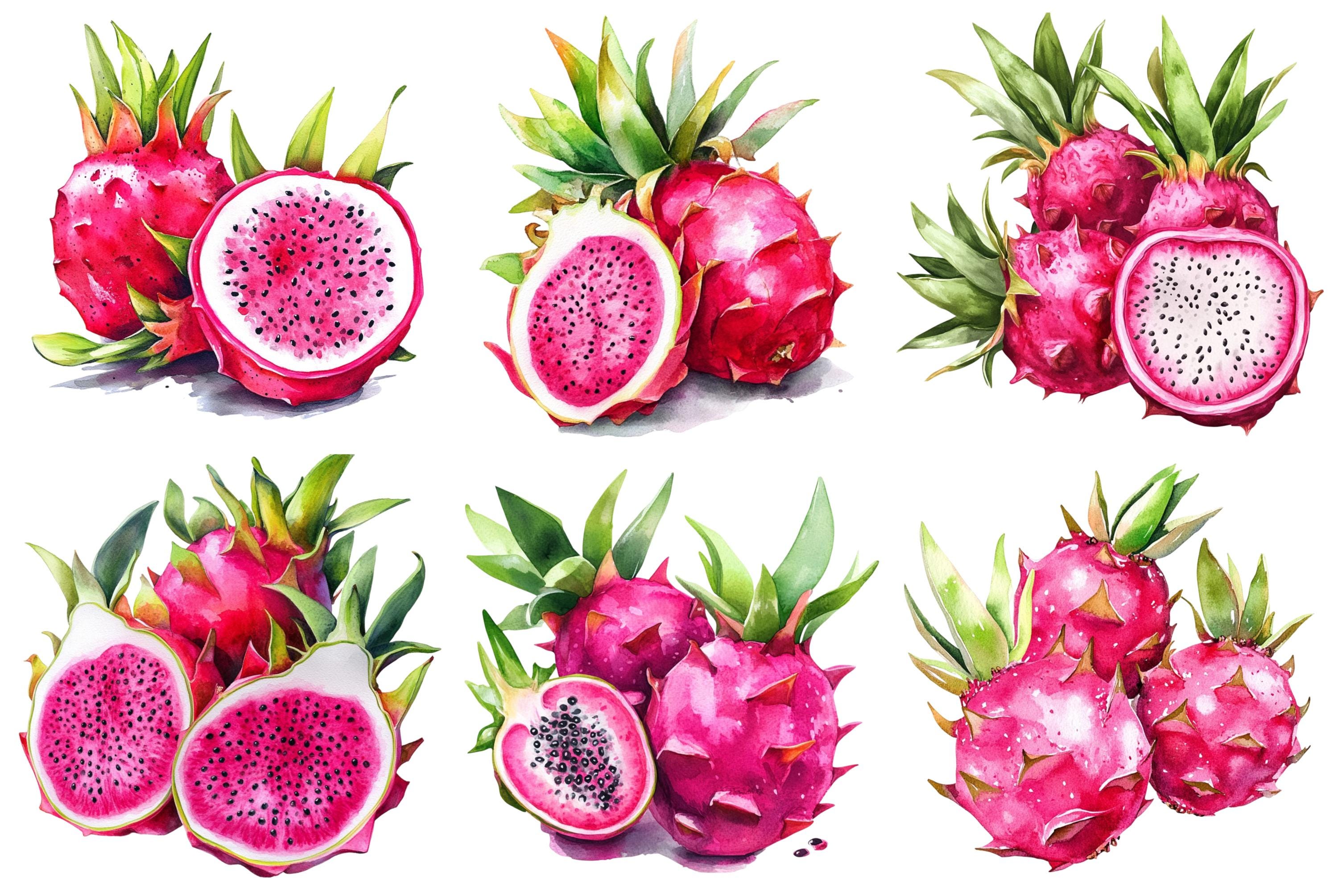 Watercolor Dragon Fruit Clipart Bundle, Dragon Fruit Png, Fruit Clip ...