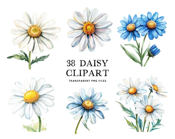 Watercolor Daisy Clipart: Floral Bouquet Images (JPG, Commercial Use ...