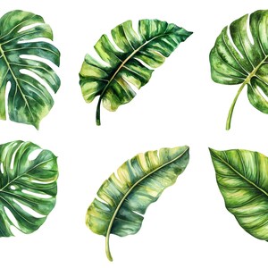 Watercolor Tropical Leave Clipart, Png Bundle, Clip Art Foliage ...