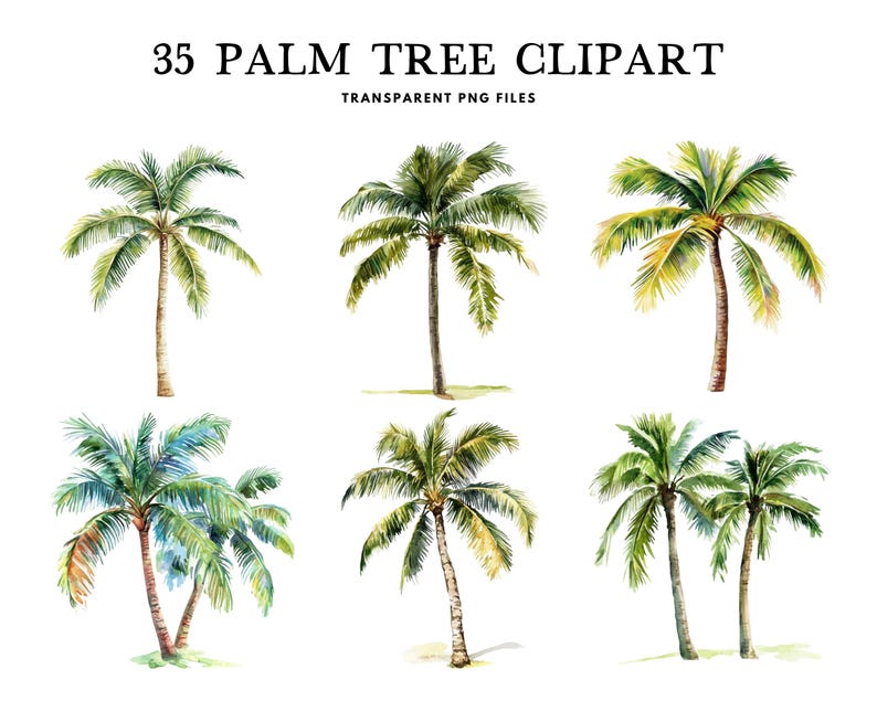 Watercolor Palm Tree Clipart, Png Bundle, Clip Art, Illustration ...