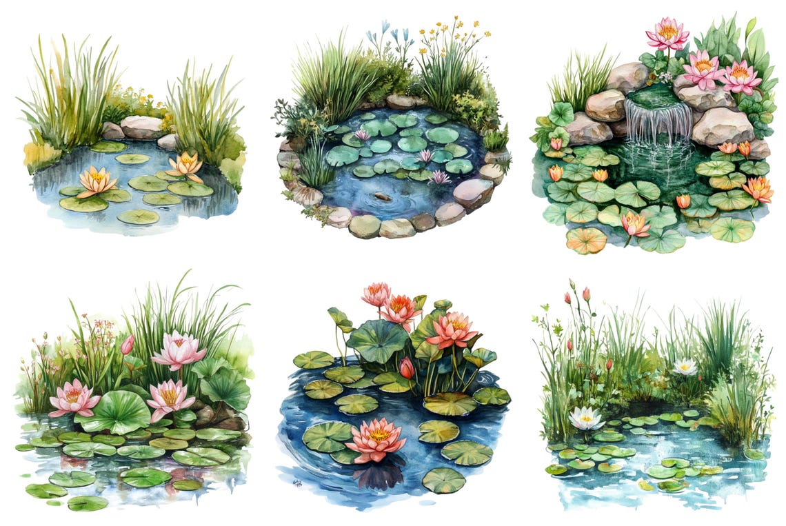 Watercolor Pond Clipart, Png Bundle, Garden Clip Art, Illustration ...